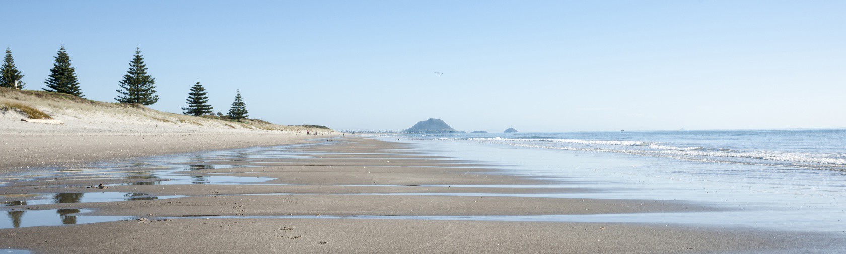 Image Catalogue | Glass Art NZ